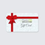 7 עצי פרי מומלצים לגינה | plants4u - משתלה אונליין