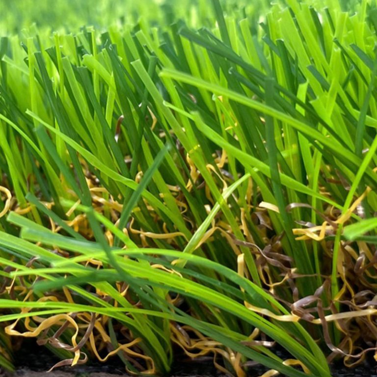 22 צמחים מטפסים מומלצים לבית ולגינה | plants4u - משתלה אונליין